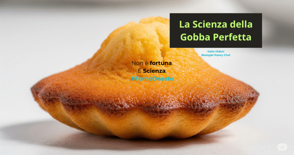 Madeleine Piatte? La Scienza della Gobba Perfetta